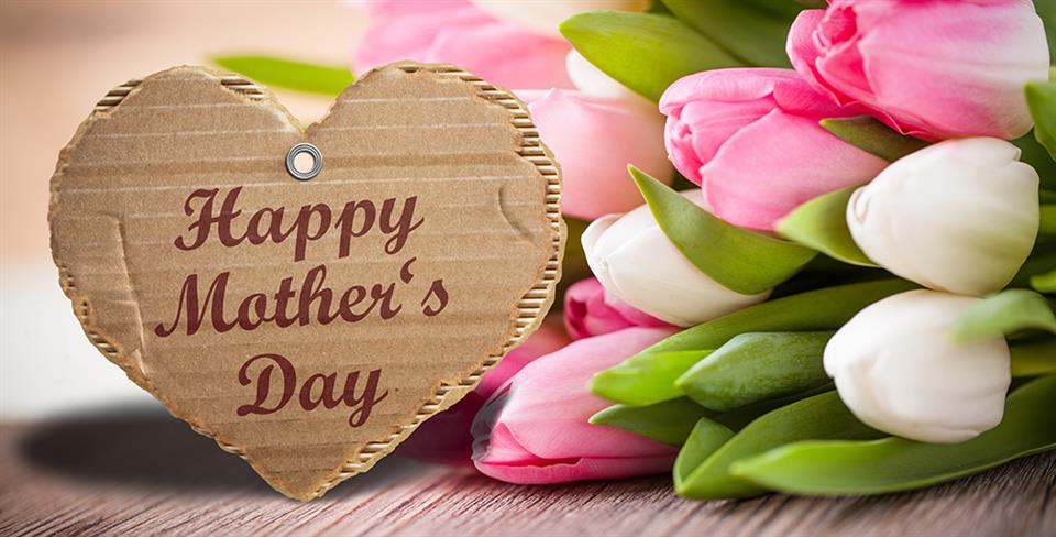 Magnolia Of Tring Florist - Order Online or 01442 823228