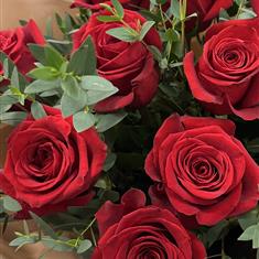 Two Dozen Roses Magnolia Of Tring Florist